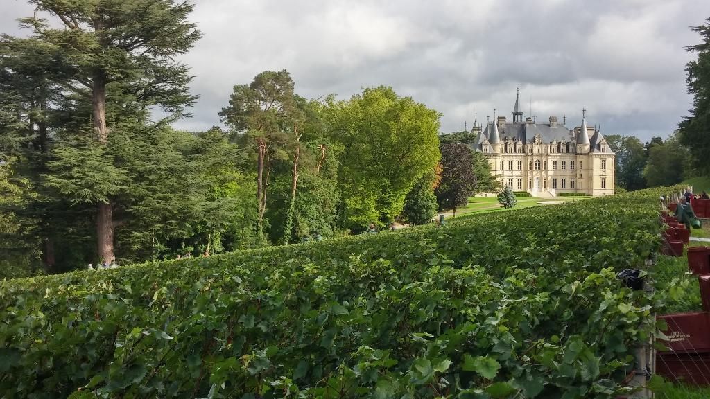 Champagne Château De Boursault Boursault - Producteur de vins (adresse ...