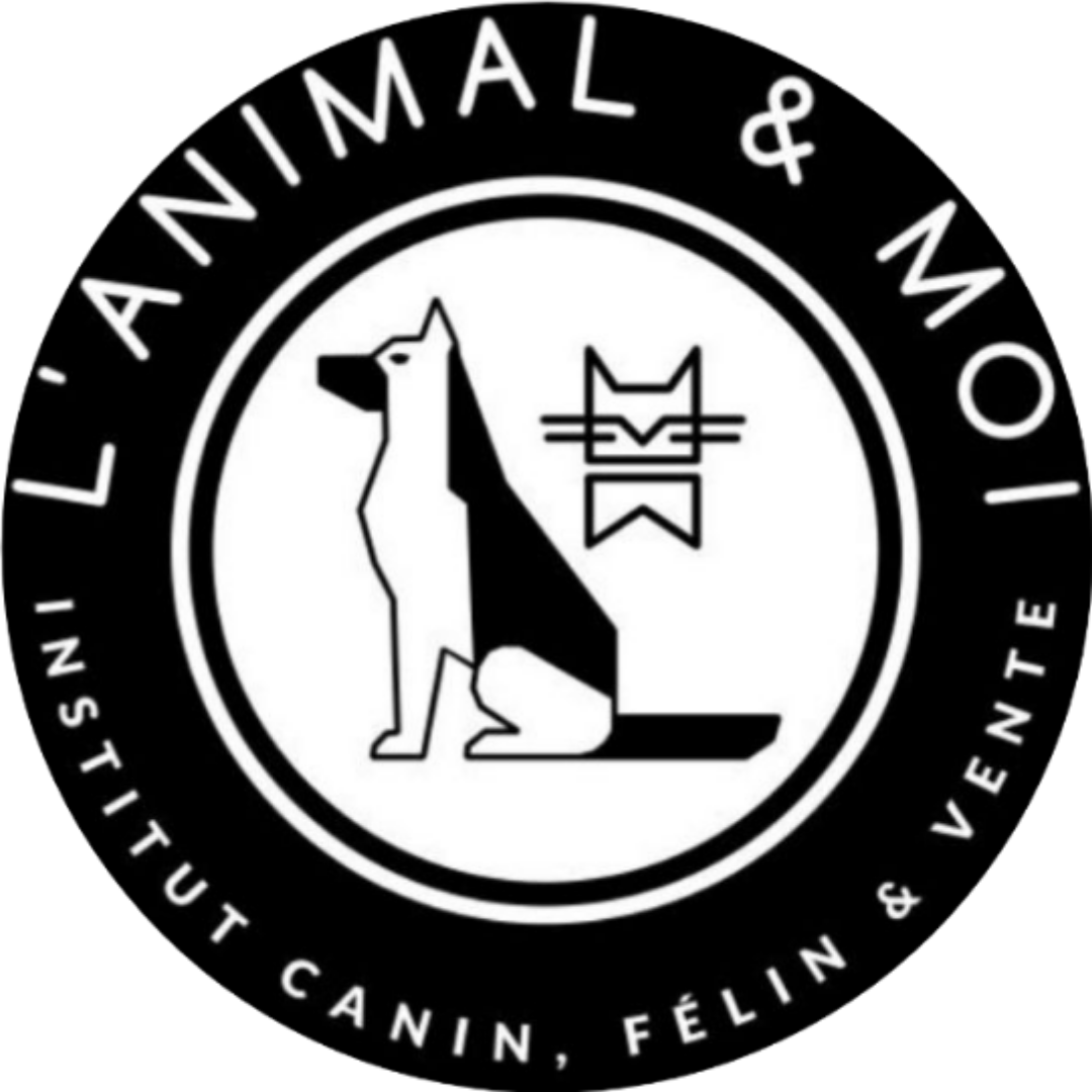 L'Animal & Moi Amélie les Bains Palalda - Toilettage de chiens, de ...