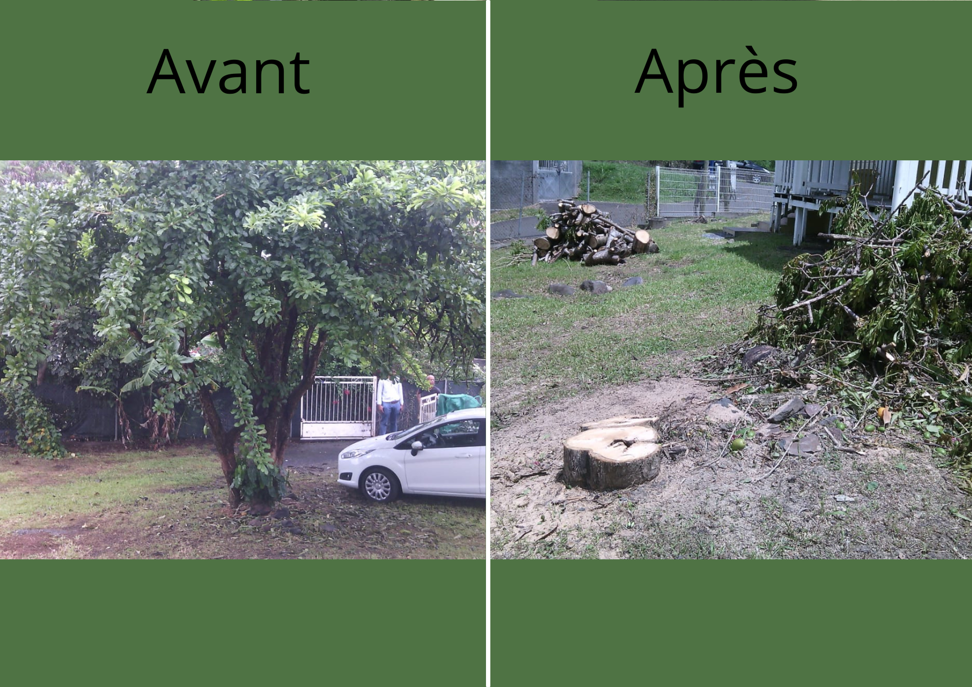 SNEA Le Lamentin - Elagage (adresse, horaires)