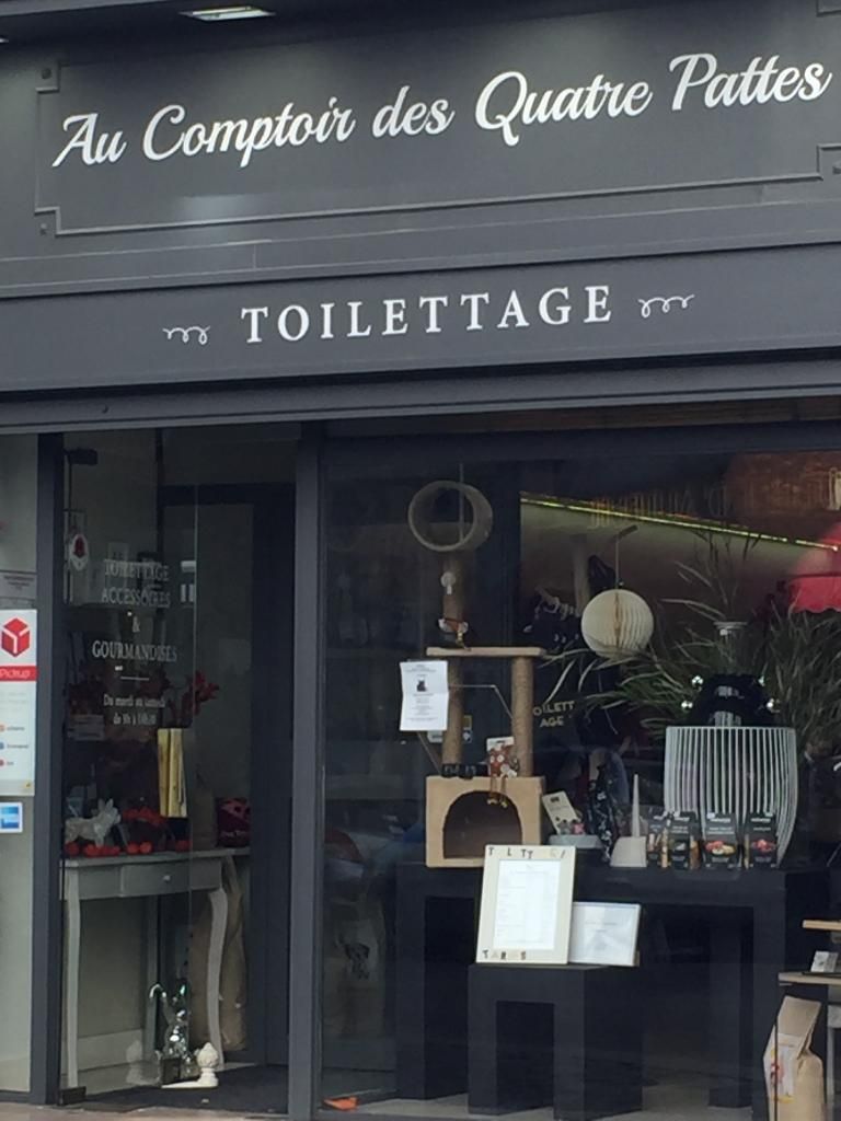 Toilettage de chiens à proximité de chez vous sur Mon Guide France